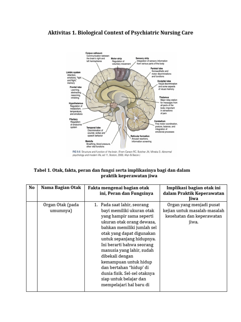 Fungsi Bagian Otak | PDF