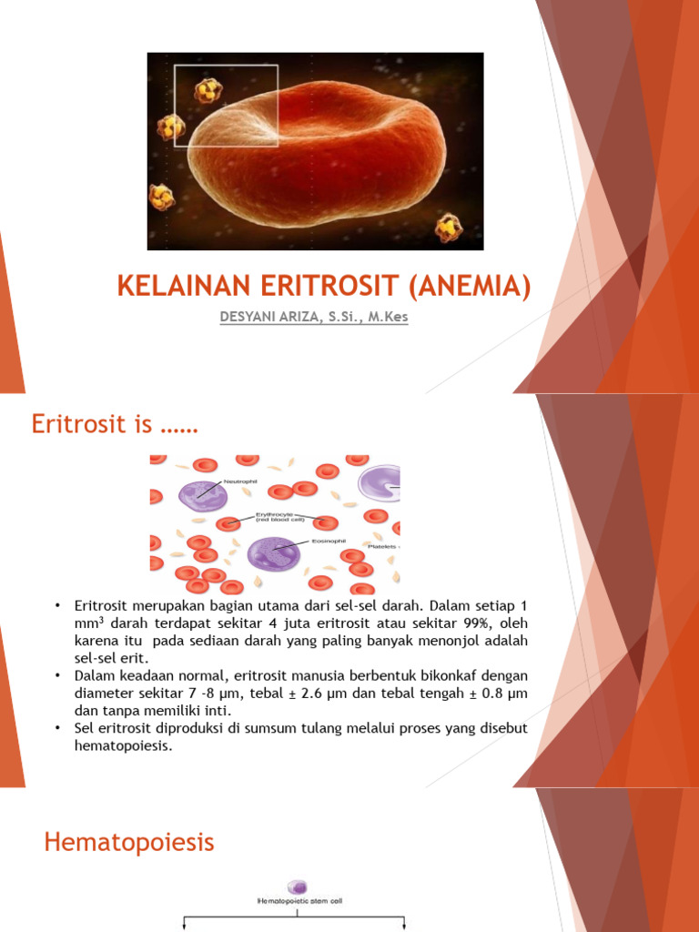 Kelainan Erit Anemia FIX | PDF