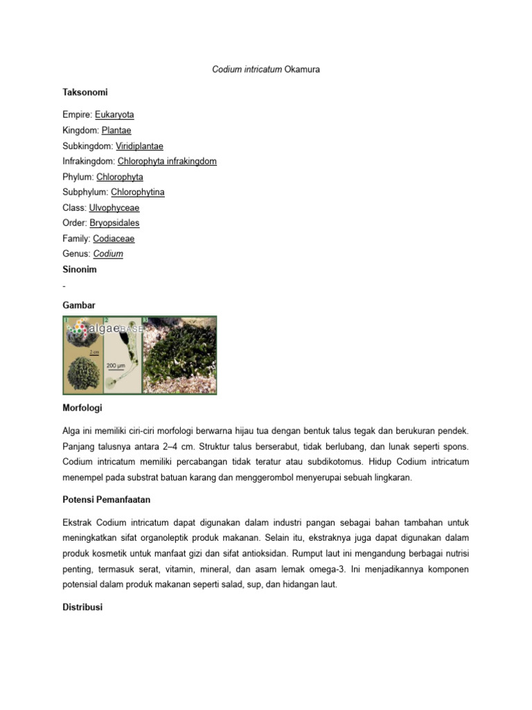 Taksonomi dan Pemanfaatan Codium intricatum | PDF | Griya & Taman ...