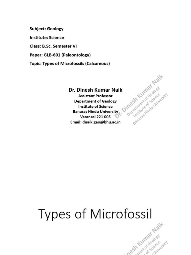 DKN 2 - Types of Microfossils (Calcareous) | PDF | Earth Sciences ...