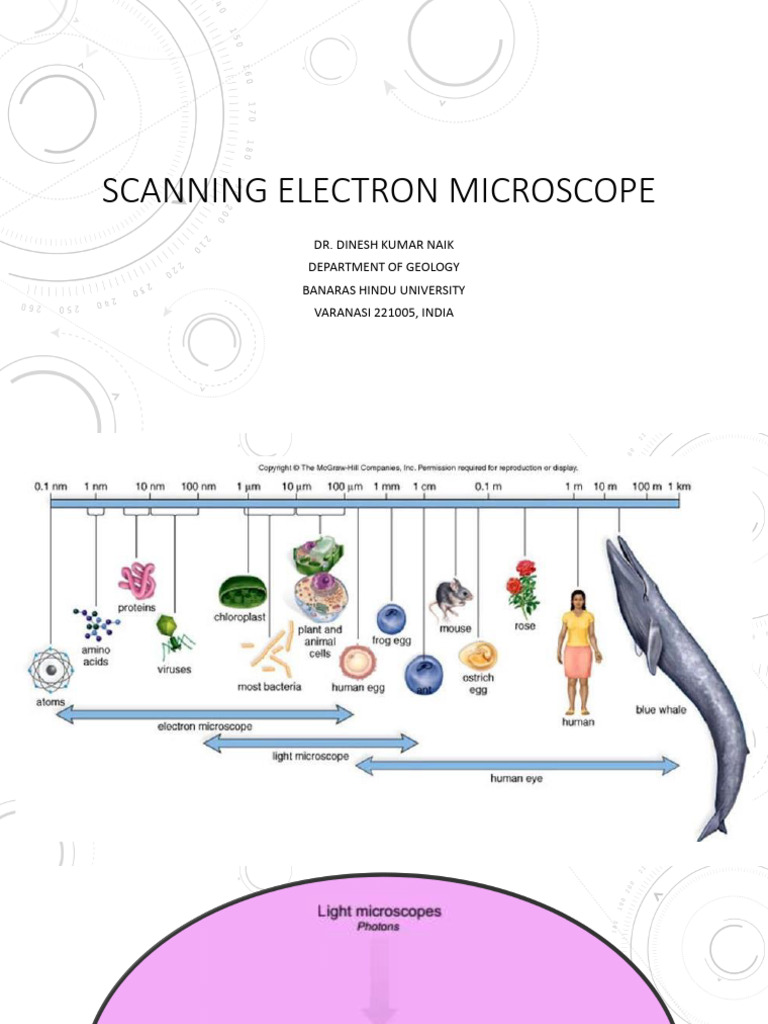 Scanning Electron Microscope Overview | PDF | Scanning Electron ...