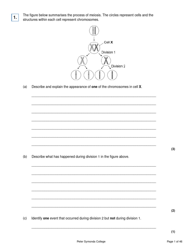 Meiosis and Genetic Variation Explained | PDF | Ploidy | Meiosis