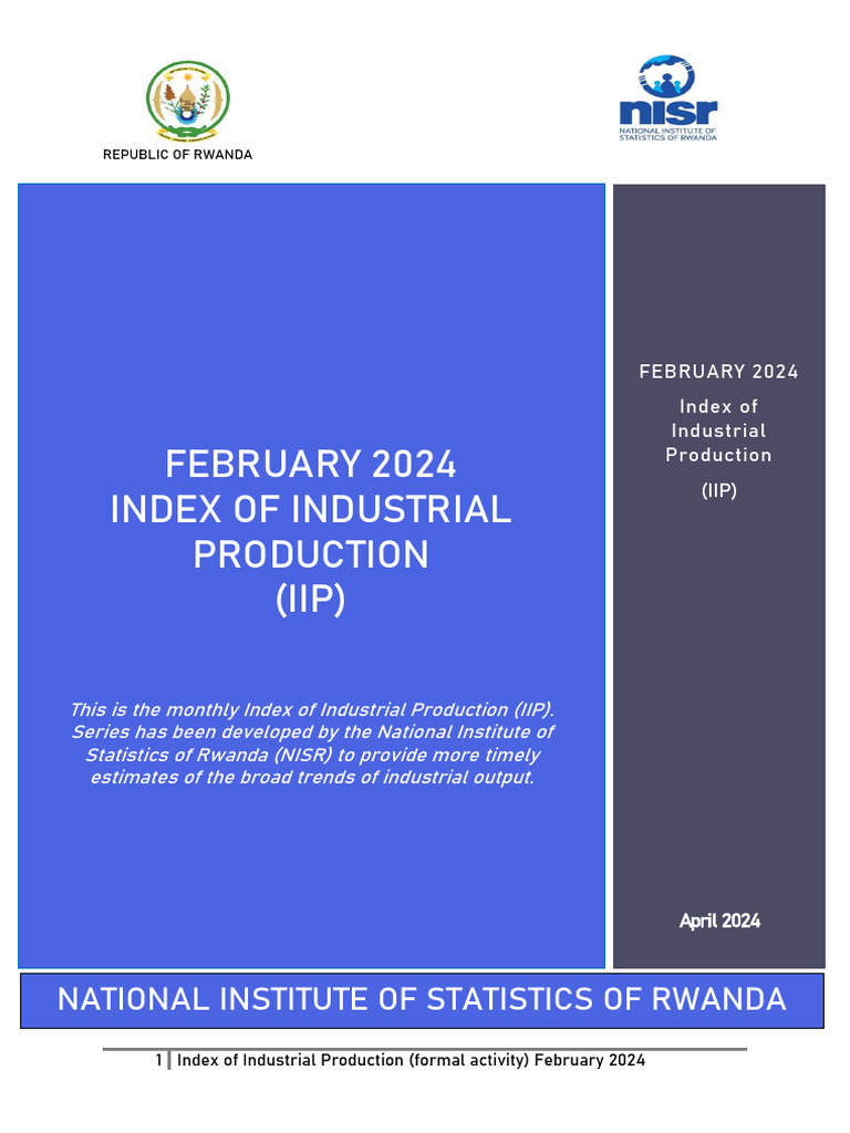 IIP Publication - English - February - 2024 | PDF | Economies ...