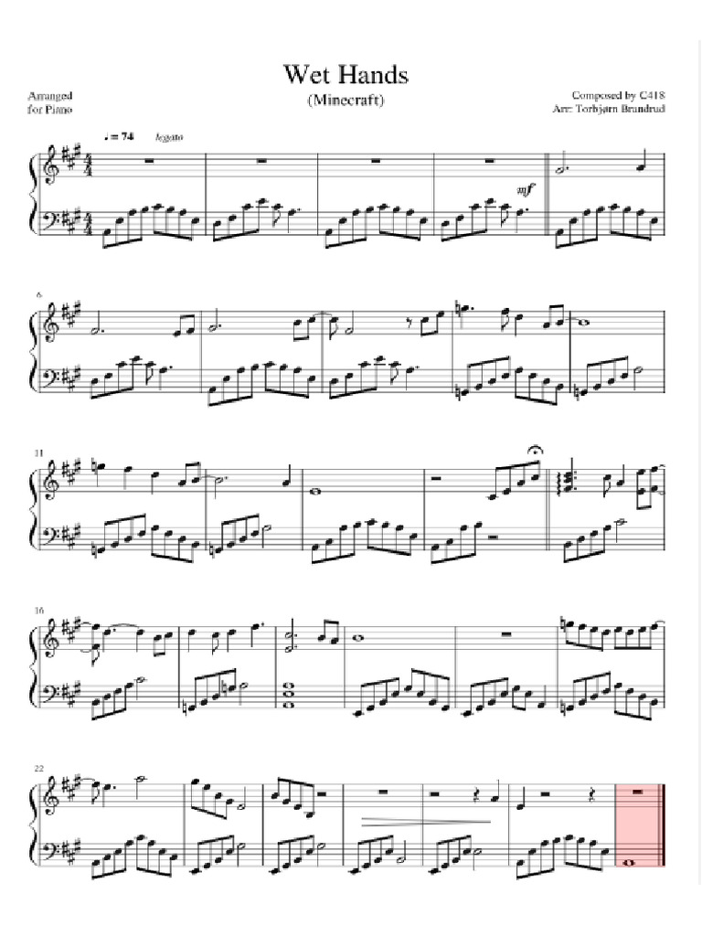 Minecraft Wet Hands | PDF