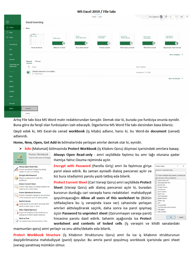 MS Excel File Function | PDF MS Excel File Function | PDF
