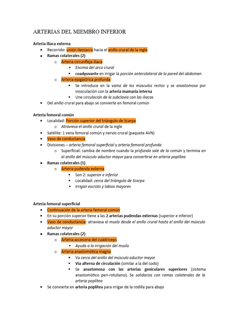 6. ARTERIA ILIACA EXTERNA | PDF | Pie | Sistema cardiovascular