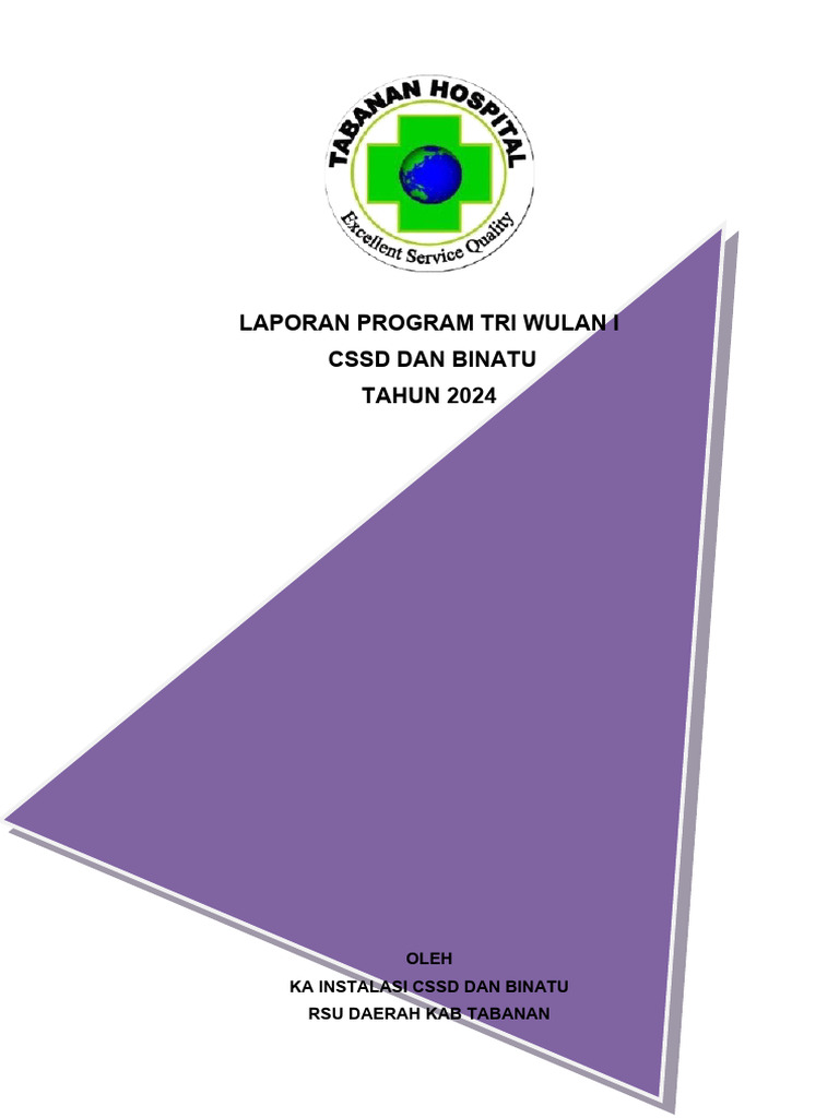Laporan Triwulan CSSD Dan Binatu - 2024 | PDF