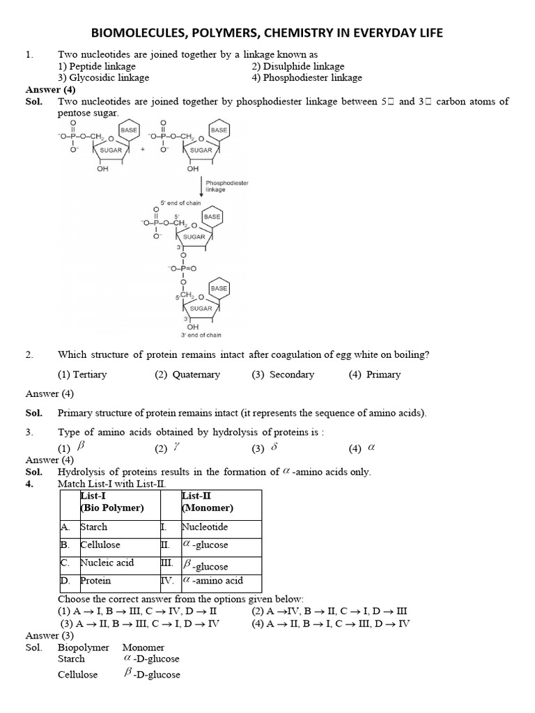 Biomolecules, Polymers, Chemistry in Everyday Life | PDF | Biopolymer ...
