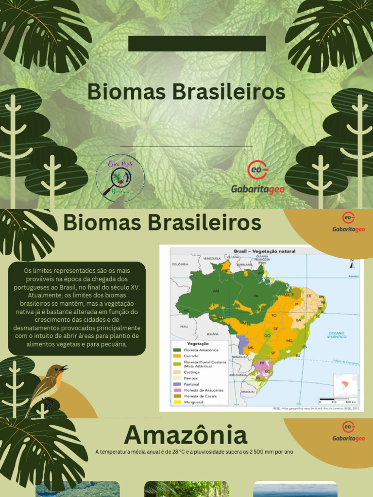 Aula 71 Biomas Brasileiros | PDF | Floresta Amazônica | Florestas