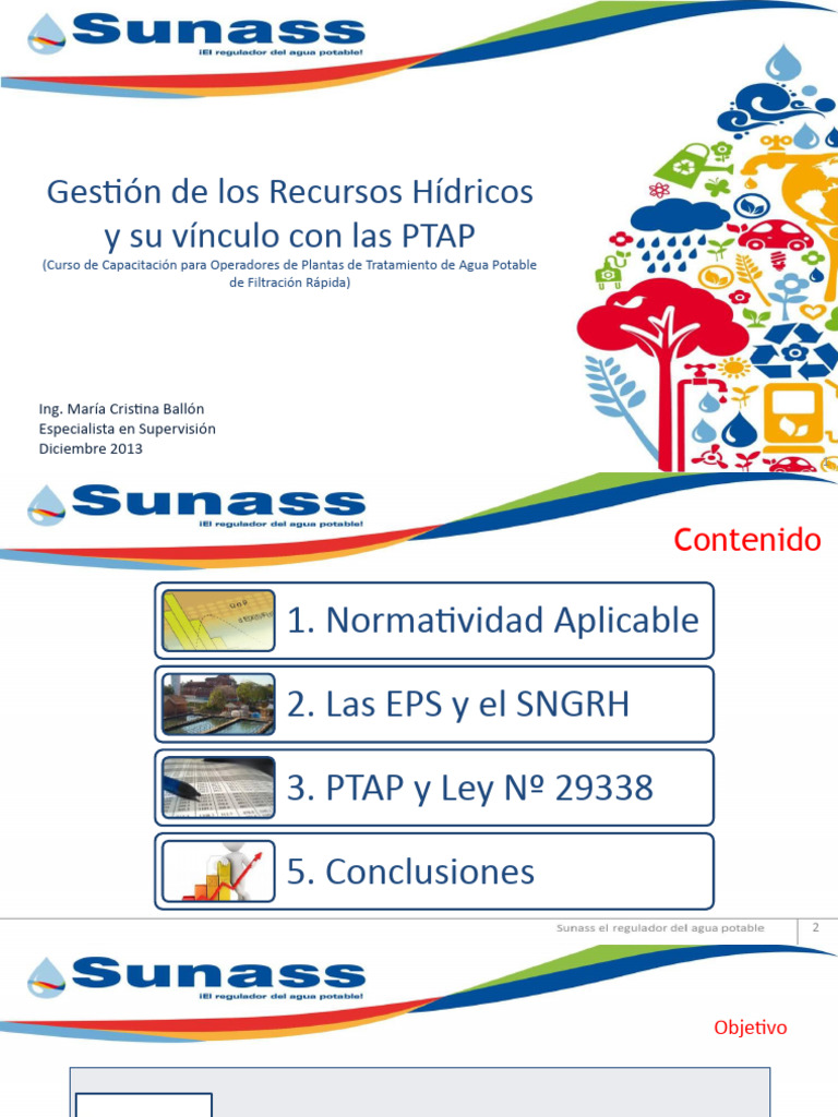 Sunass | PDF | Ciencias de la Tierra | Agua