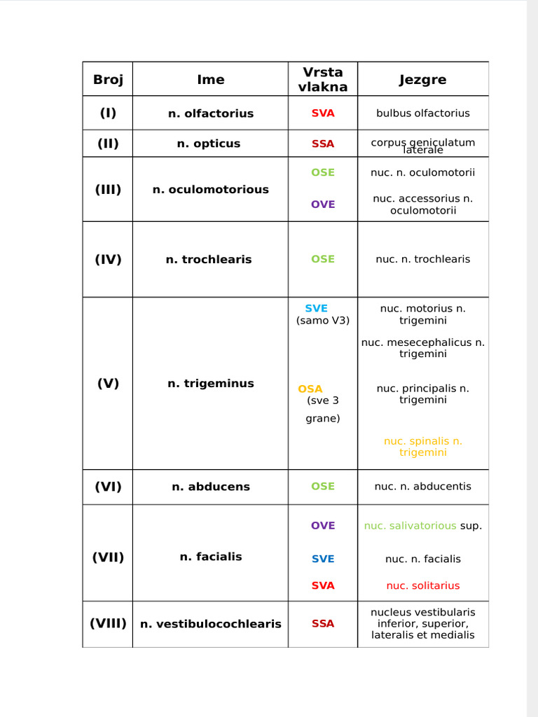 Tips Kranijalni Zivci Tablica | PDF