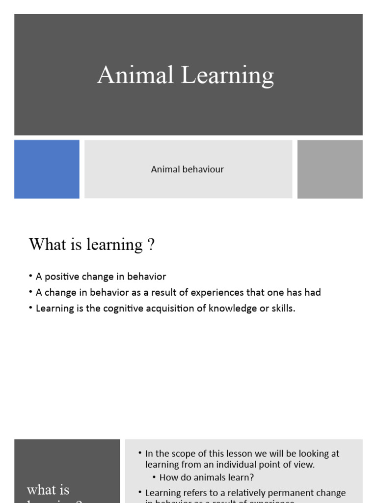 Learning | PDF | Classical Conditioning | Learning