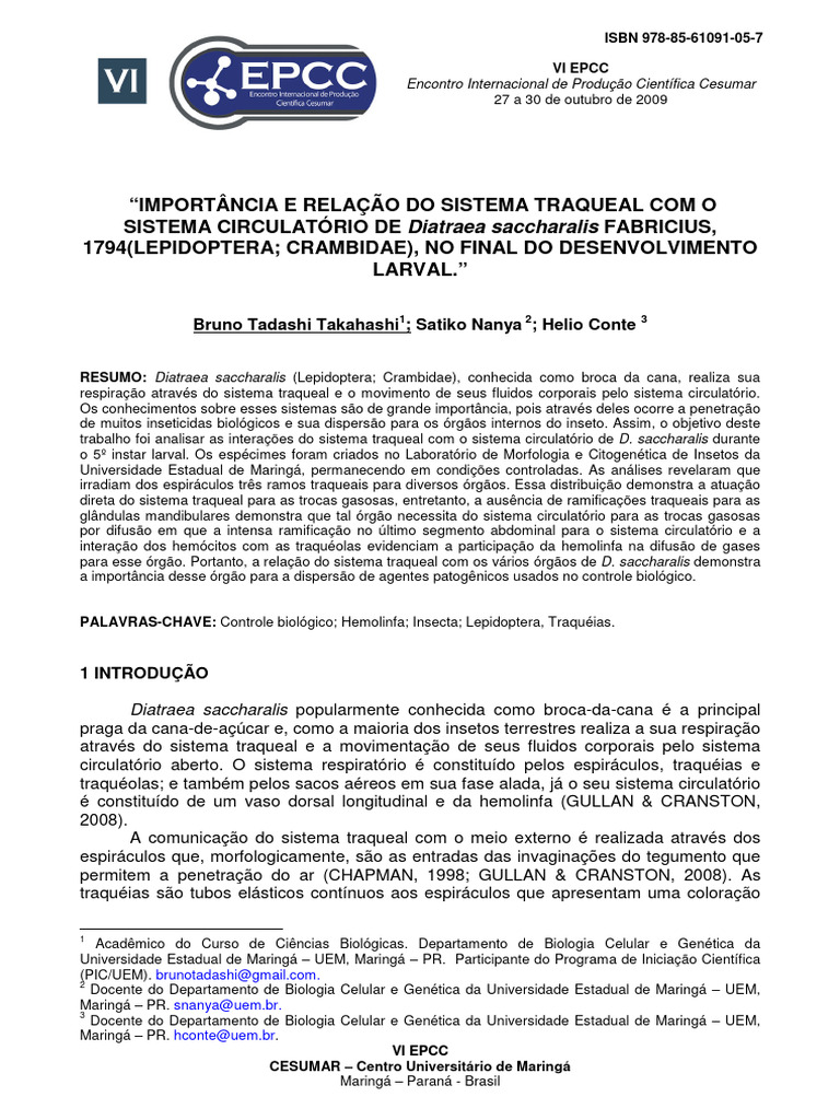 Bruno Tadashi Takahashi | PDF | Insetos | Sistema circulatório