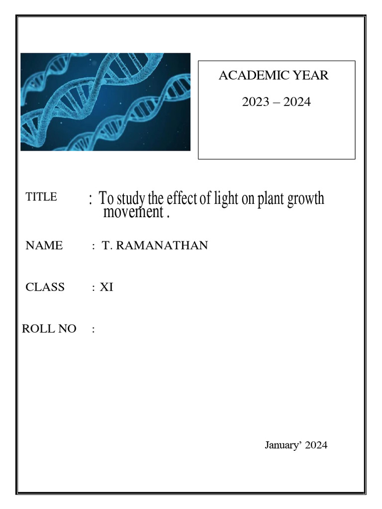 Effect of Light on Plant Growth Experiment | PDF | Germination | Seed