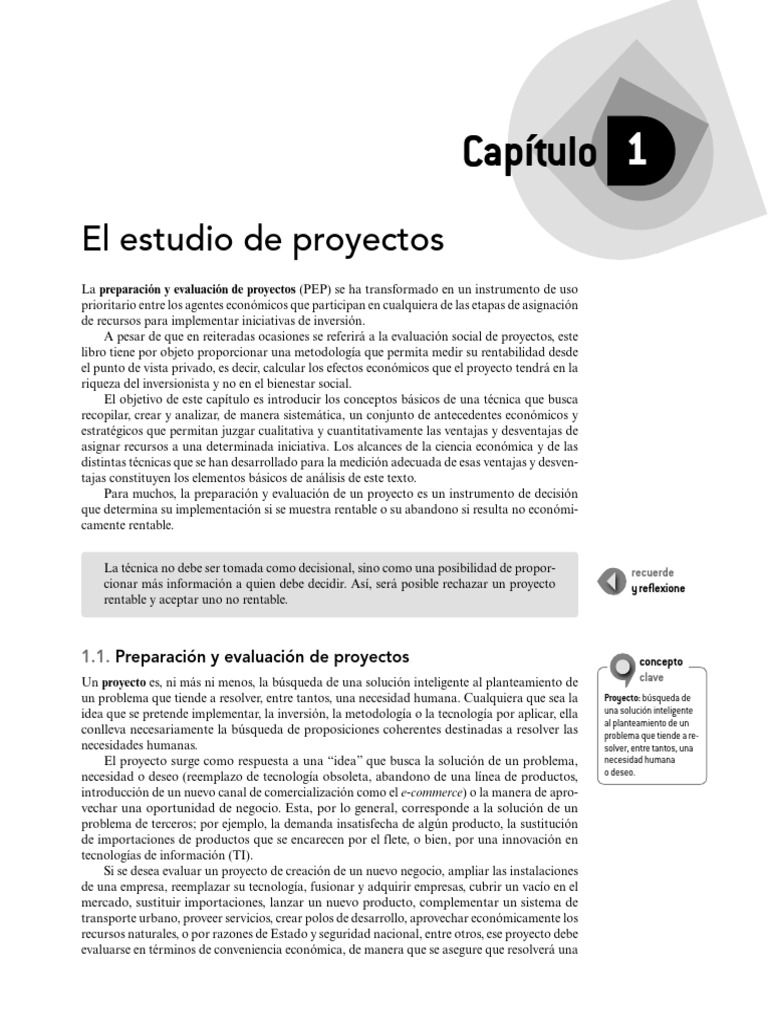 Proyecto Cap 1-3 | PDF | Exterioridad | Business