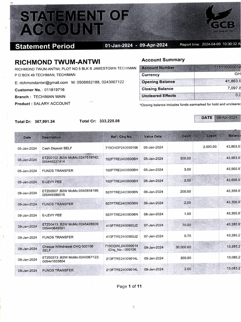 Bank Statement 2024 | PDF