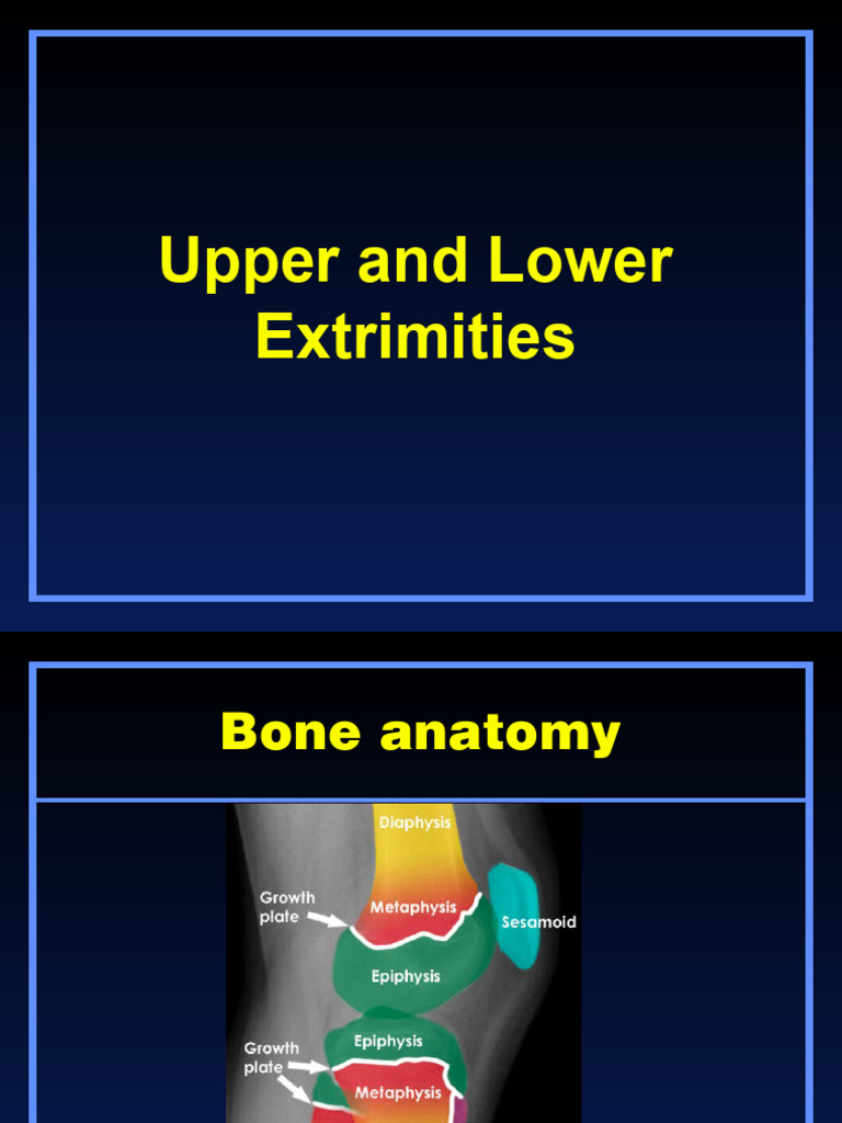 Upper - Lower Extremity Imaging | Download Free PDF | Anatomical Terms ...