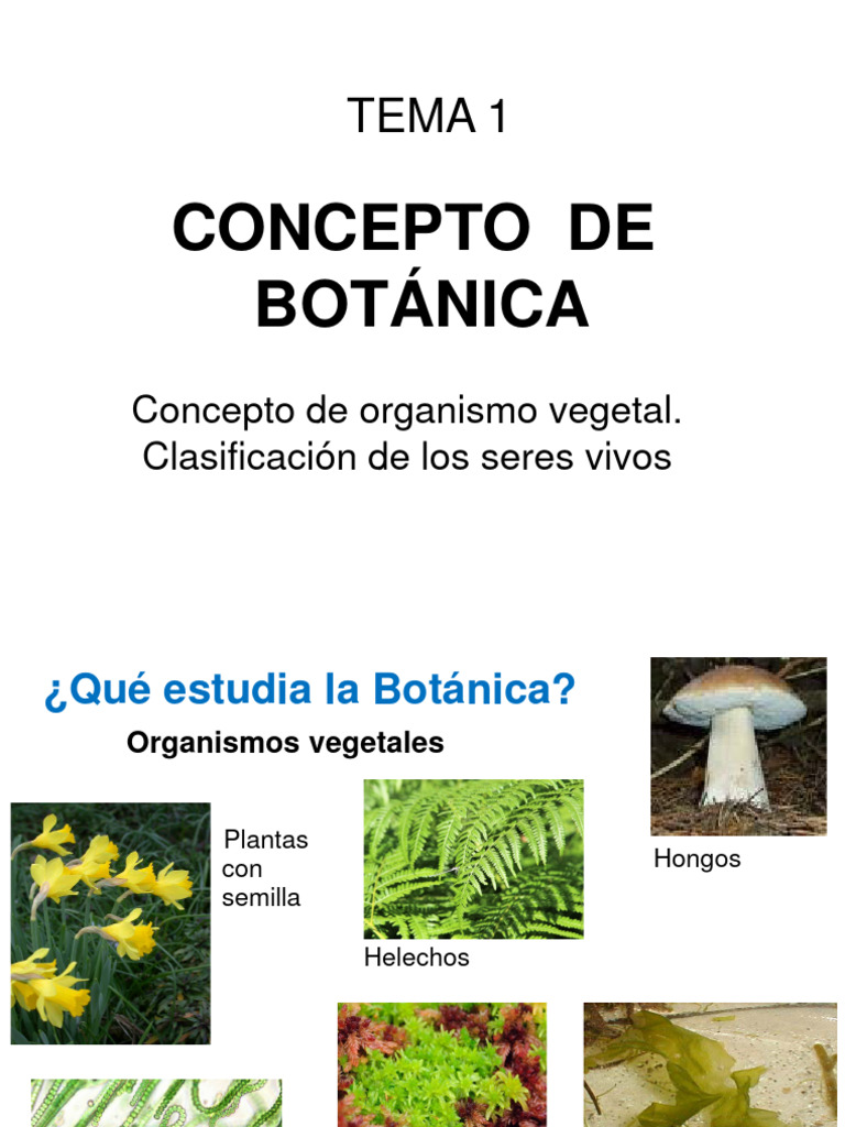 Introducción a la Botánica y Organismos Vegetales | PDF | Plantas | Taxonomía (biología)