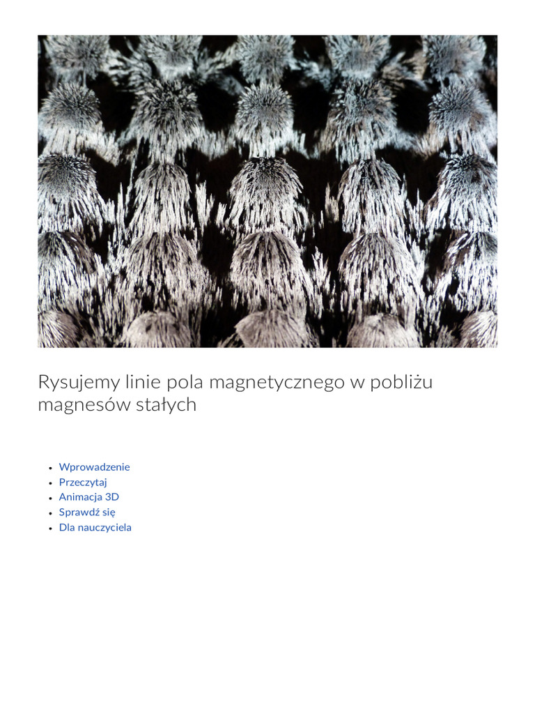 Rysujemy Linie Pola Magnetyczneg | PDF