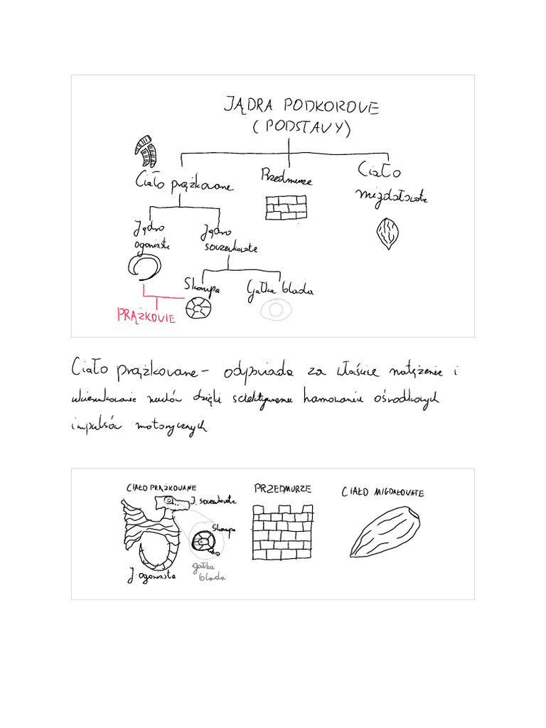 Anata Wa Neuro Desu | PDF