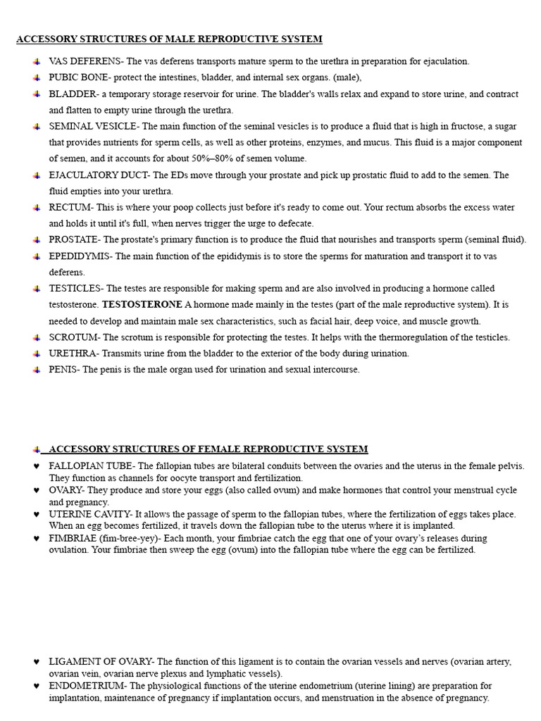anatomy report | PDF | Uterus | Ovary