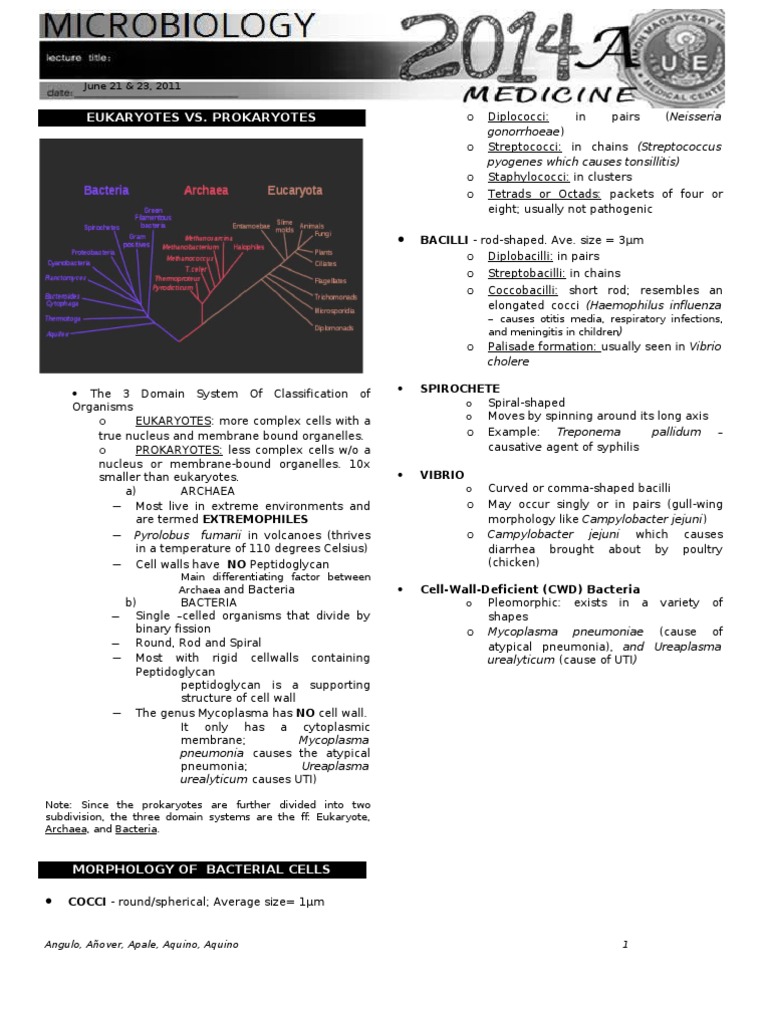 1.1 Microbiology - Basic Principles of Bacteriology 2014A | PDF ...