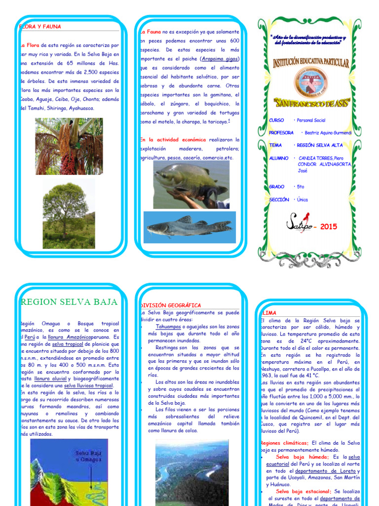Triptico Region Selva Baja | PDF | Geografía Física | Ciencias de la Tierra