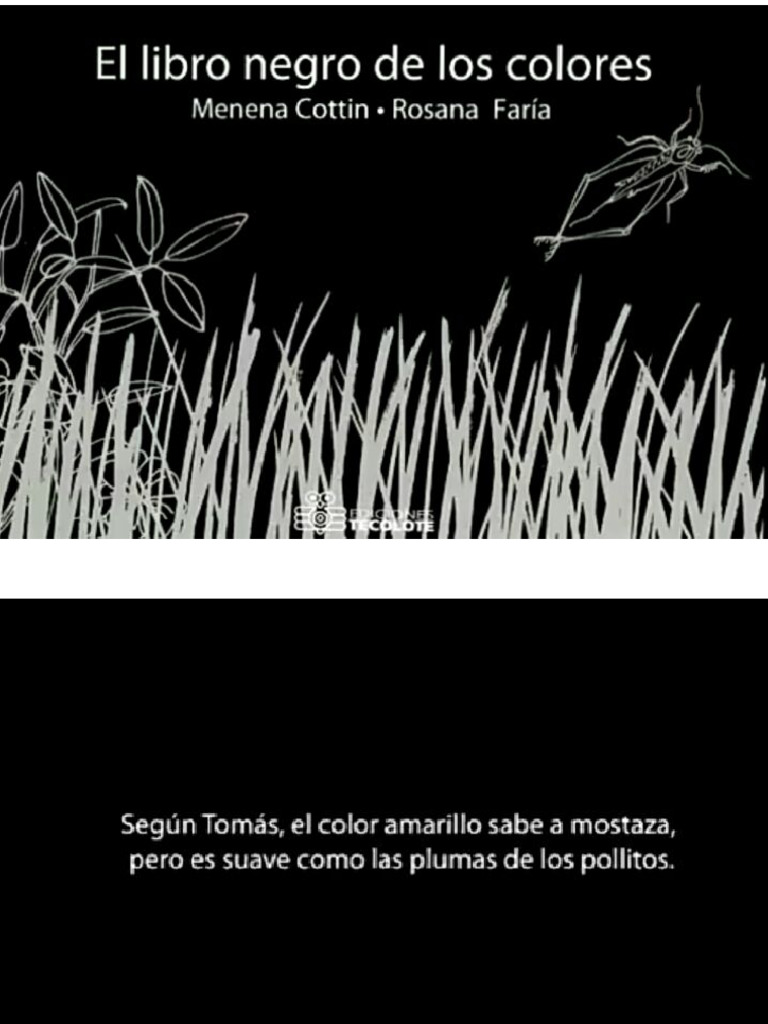 El Libro Negro de Los Colores | PDF