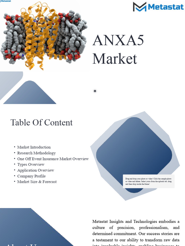 ANXA5 Market Analysis, Size, Share, Growth, Trends Forecasts 2023-2030 | PDF | Business ...