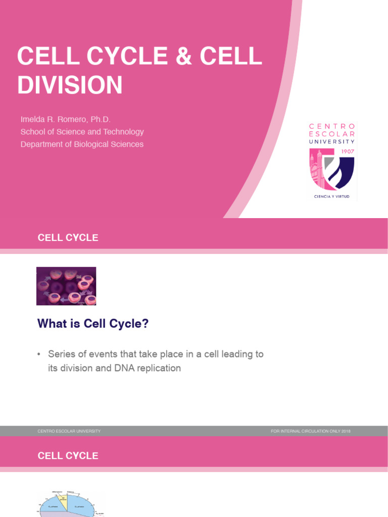Cell Cycle Cell Division 1 | PDF | Meiosis | Mitosis