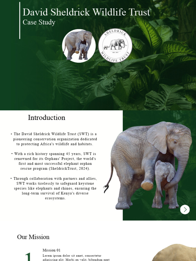 Imc Case Study Presentation Pdf