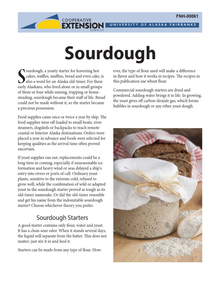 FNH 00061 Sourdough | PDF | Breads | Teaspoon