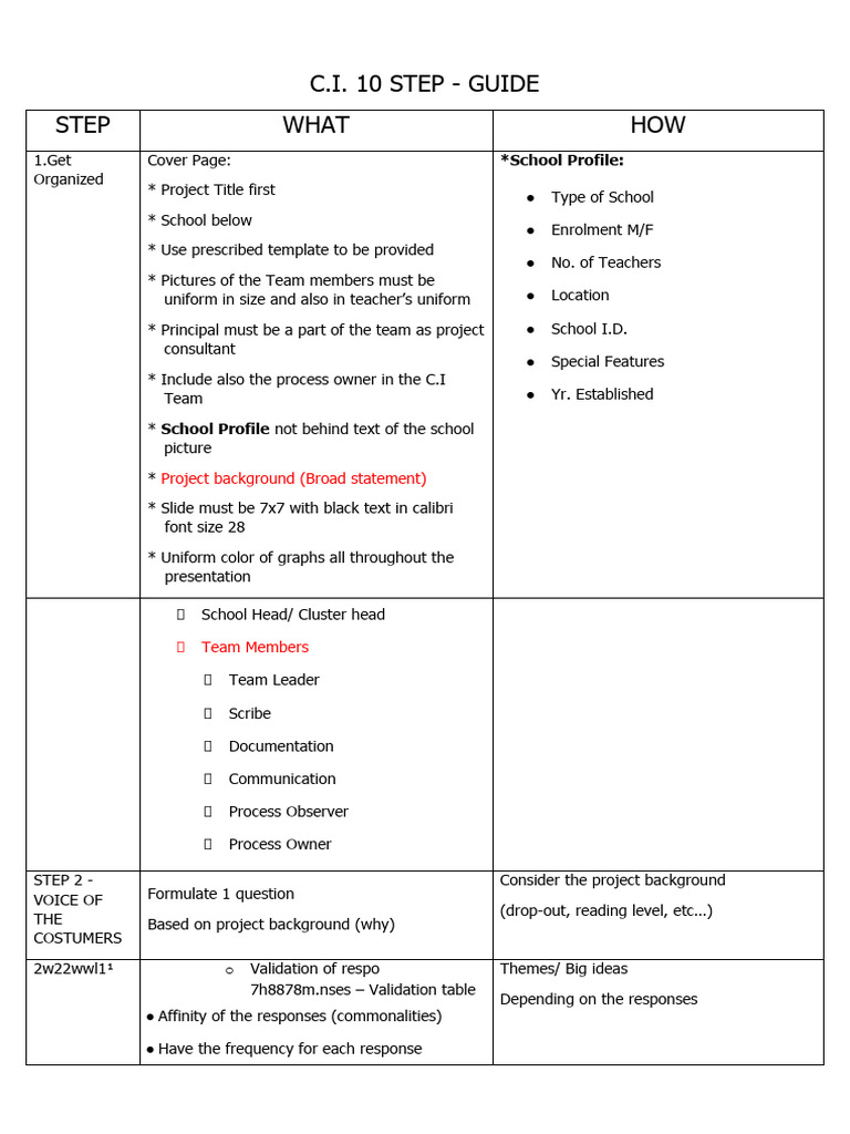 C.I.-10-steps-guide | PDF
