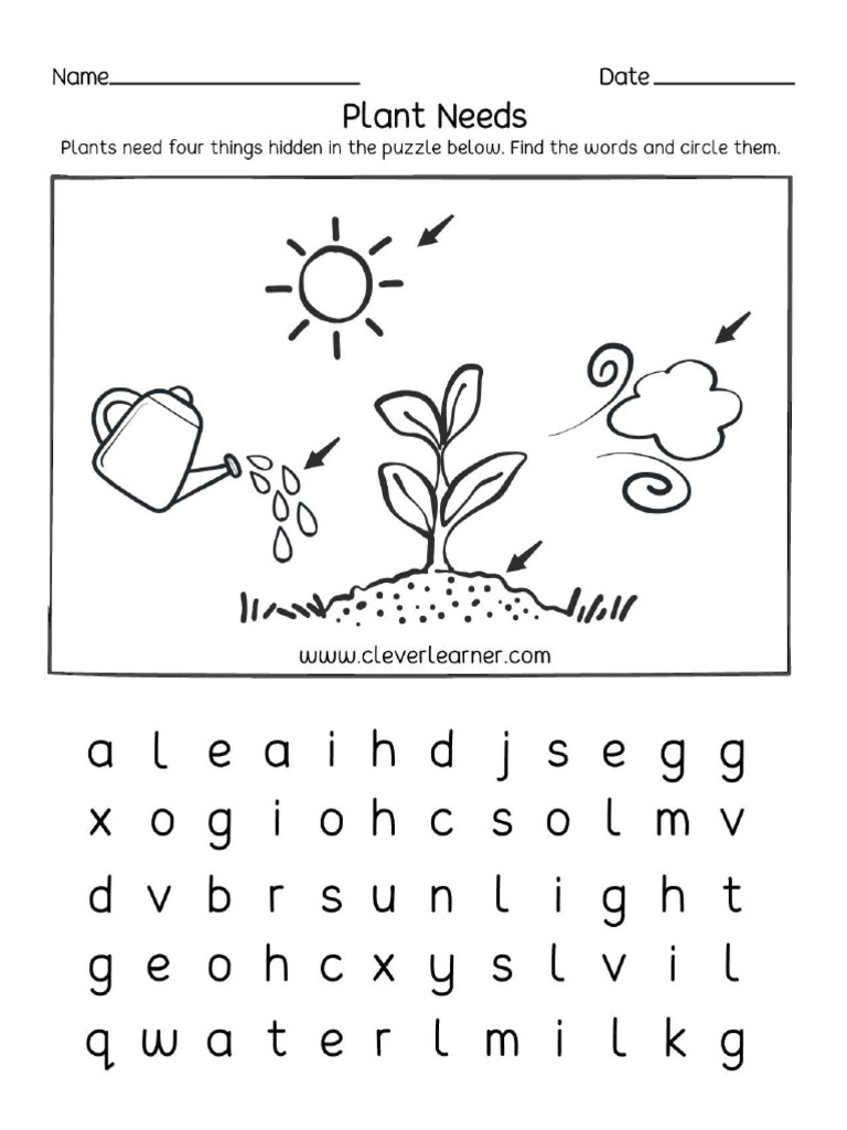 What Plants Need Word Search Preschool Activity | PDF