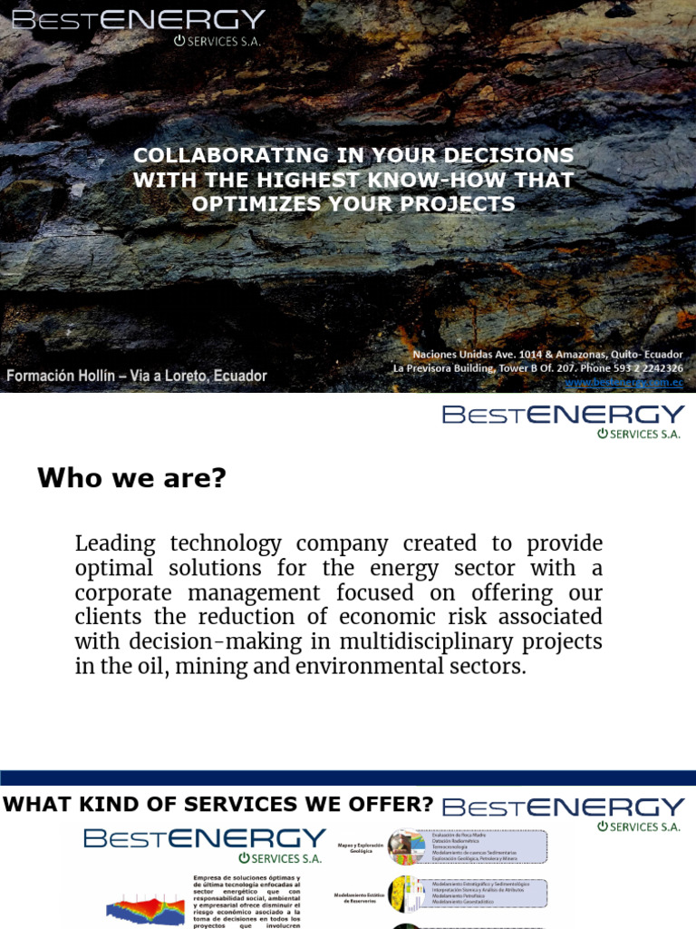 Energy Sector Project Optimization Services | PDF | Risk | Reflection ...