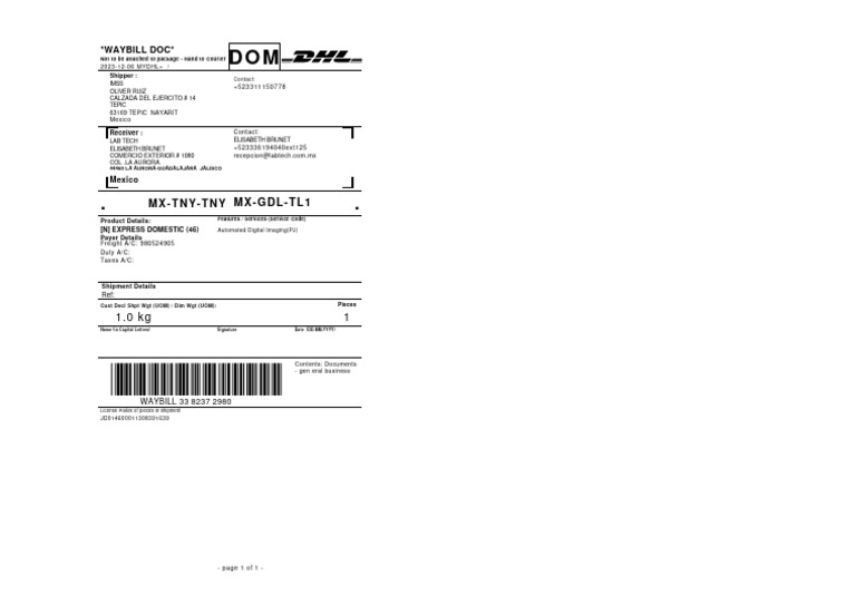 Guia DHL 338237 2980 | PDF