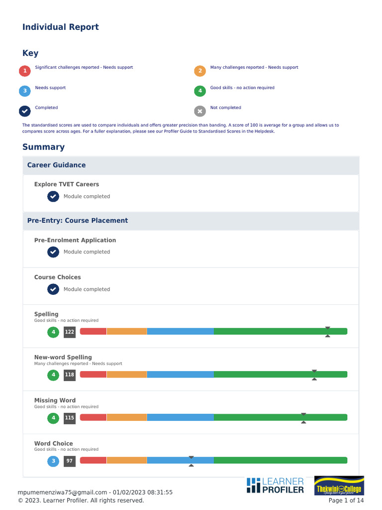 Individual Report: Career Guidance | PDF | Triangle