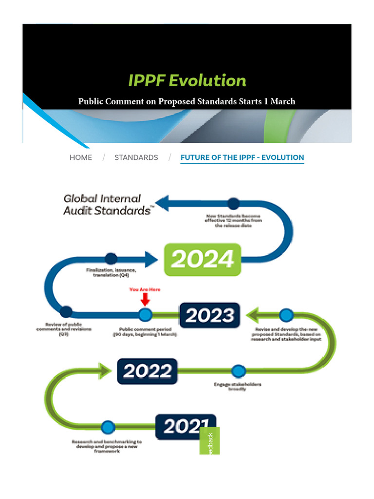 The Global Internal Audit Standards Ex IPPF 1677281106 | PDF | Internal ...
