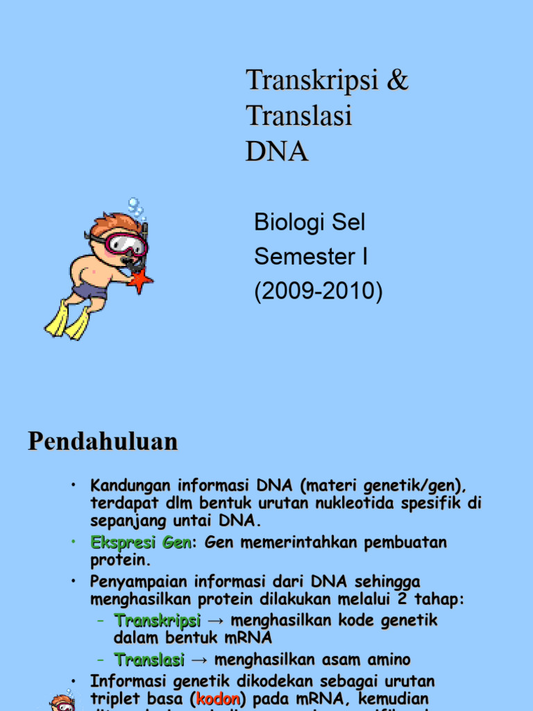 12 Transkripsi Dan Translasi DNA | PDF