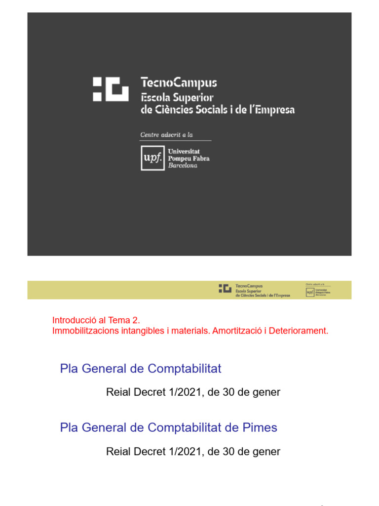 Tema 2 CONTA | PDF