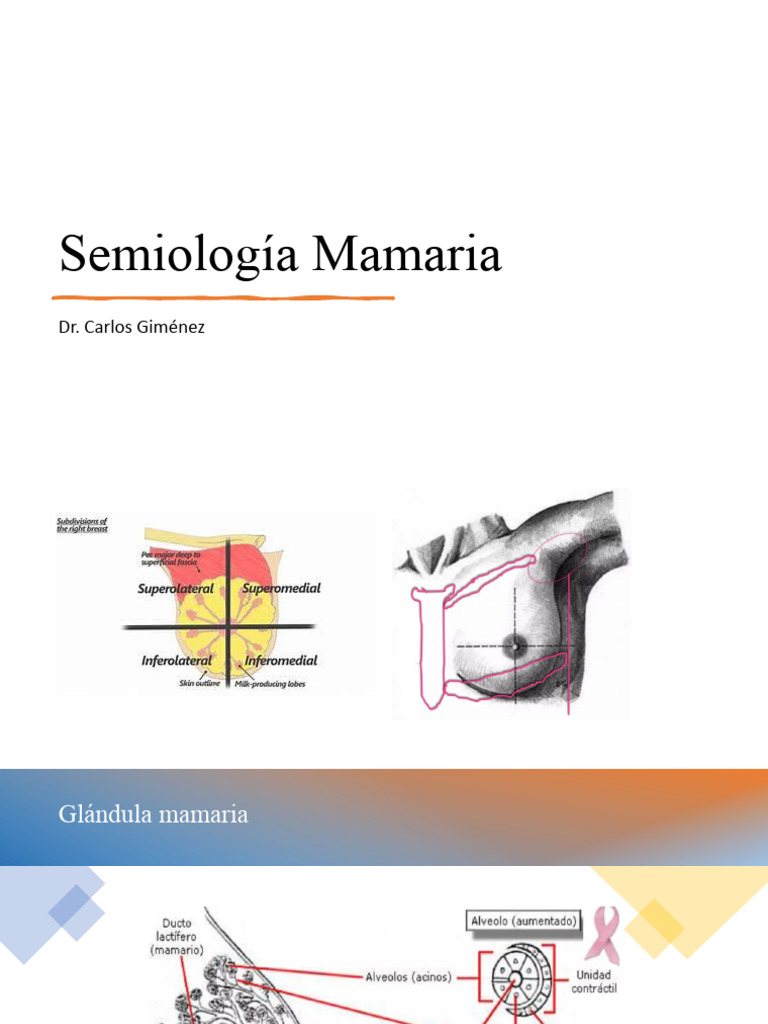 Semiología Mamaria | PDF | Pecho | Cáncer de mama
