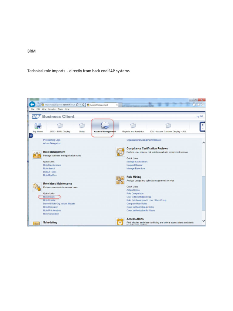 SAP Role Management Guide | PDF | Business | Technology & Engineering