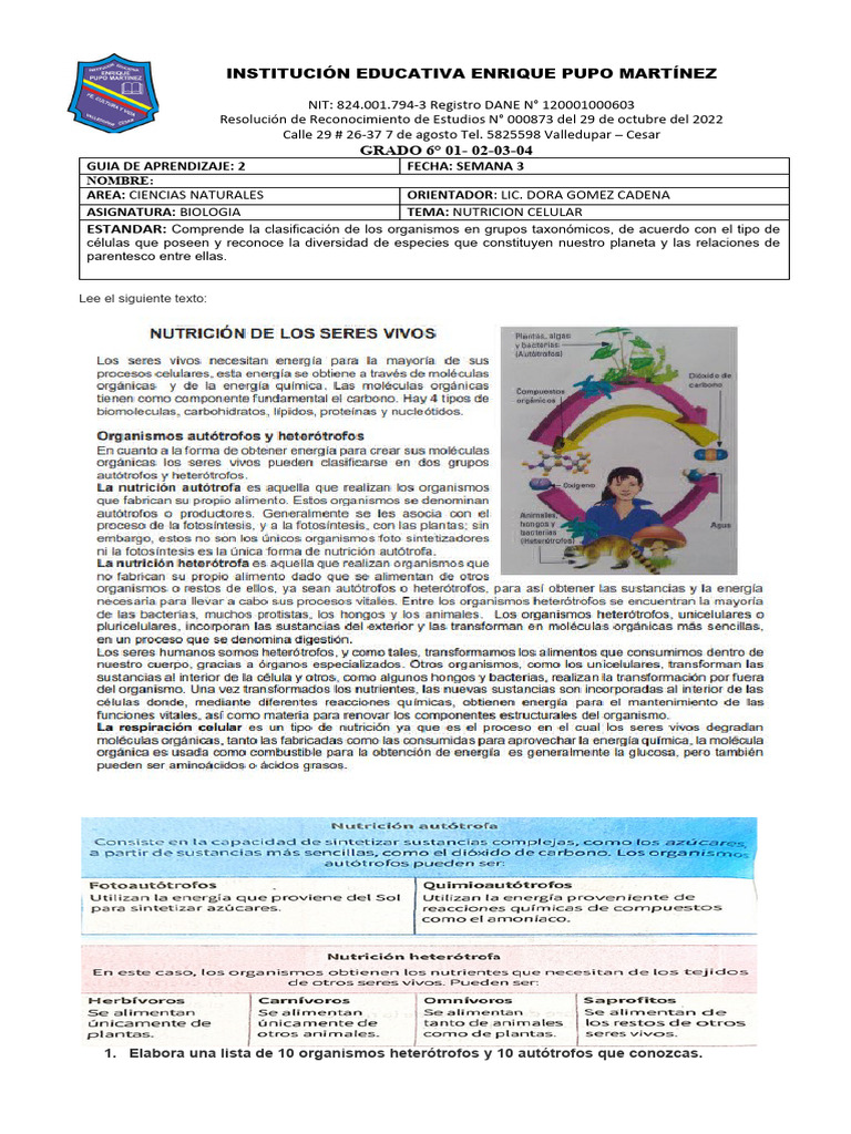 guia ciencias sexto grado | PDF