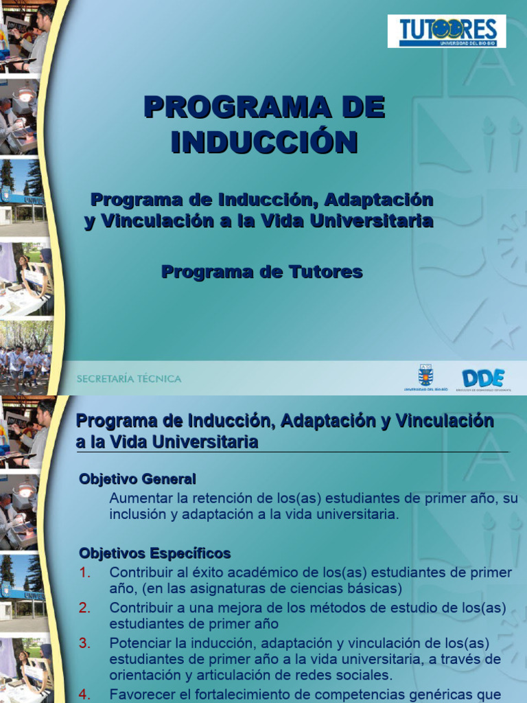 Programa De Inducción A La Vida Univesitaria Pdf