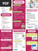 Place Diada Fetal | PDF | El embarazo | Parto