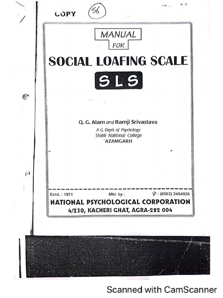 Social Loafing Scale | PDF