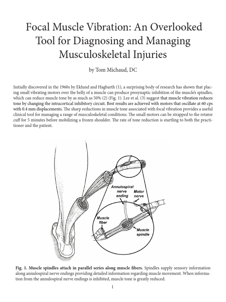 Vibración Muscular Focal | PDF | Back Pain | Skeletal Muscle