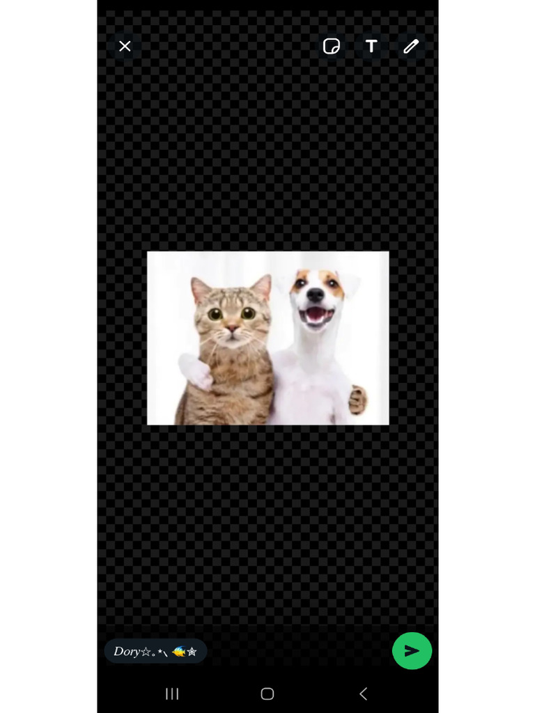 Image To PDF 29-Abr-2024 | PDF