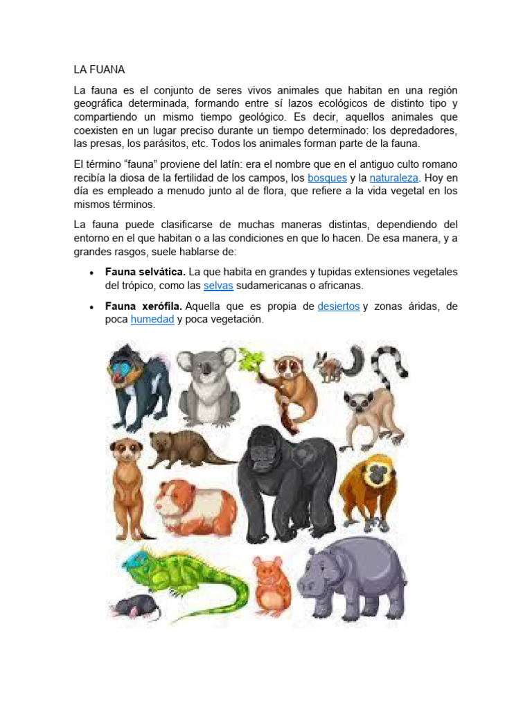 FAUNA | PDF