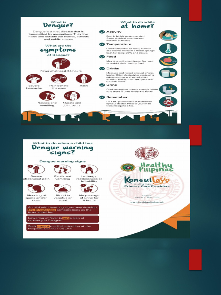 Dengue Powerpoint | PDF